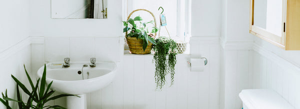 Our collection of toothpastes certified organic and made in France ...